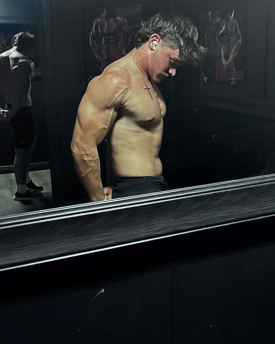 Shanes 4 week workout program(max aesthetics and strength)